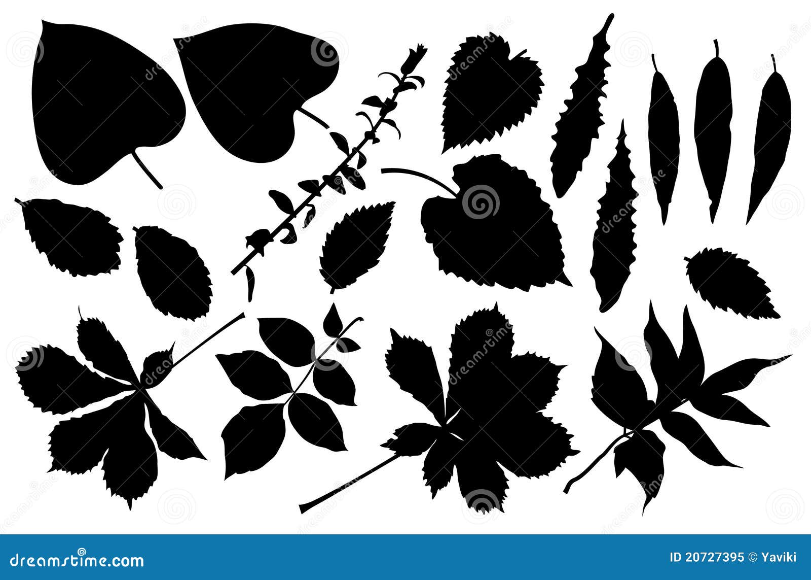 Leaf set stock vector. Illustration of foliage, leaf - 20727395