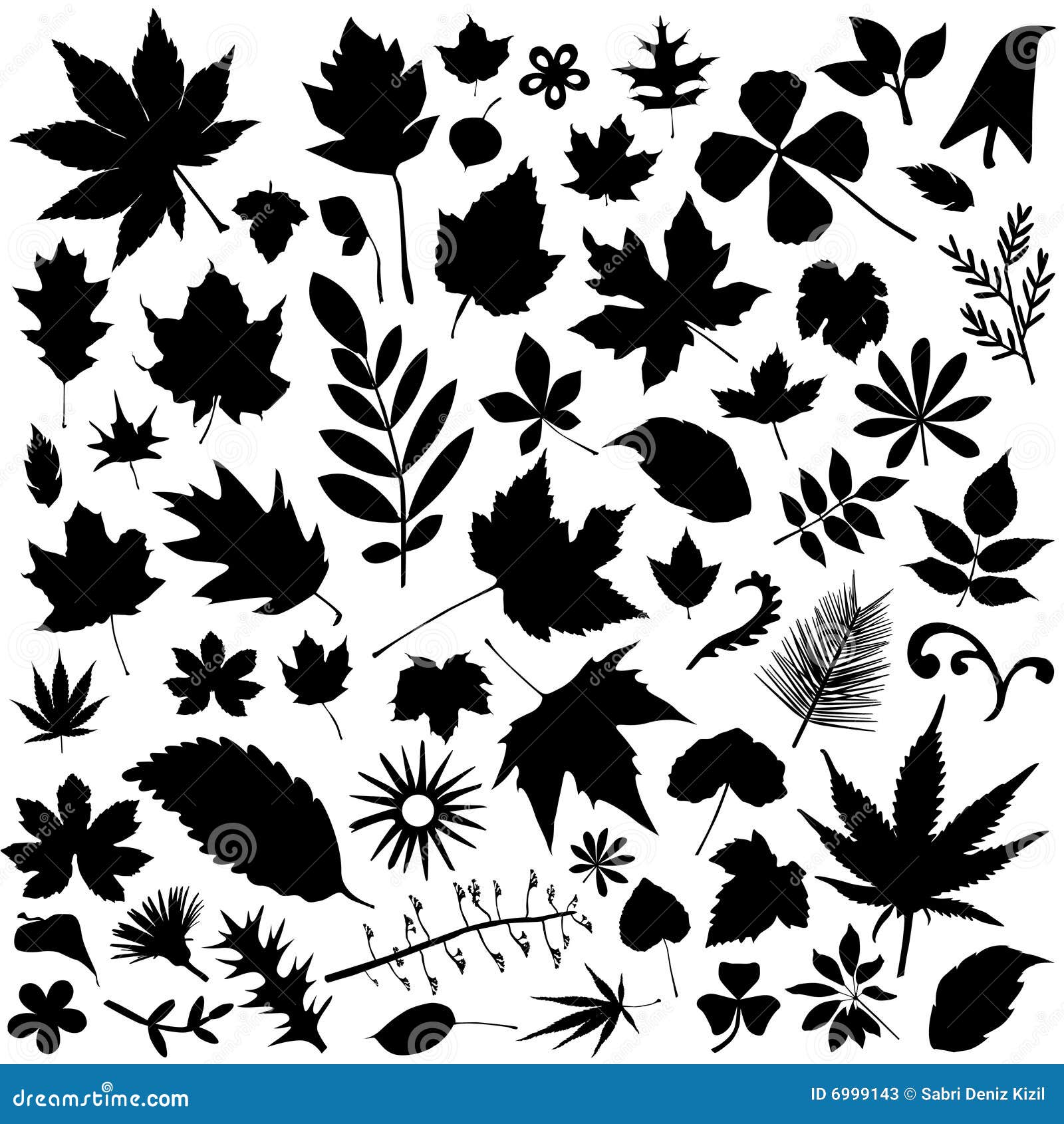 Leaf set stock vector. Illustration of maple, abstract - 6999143