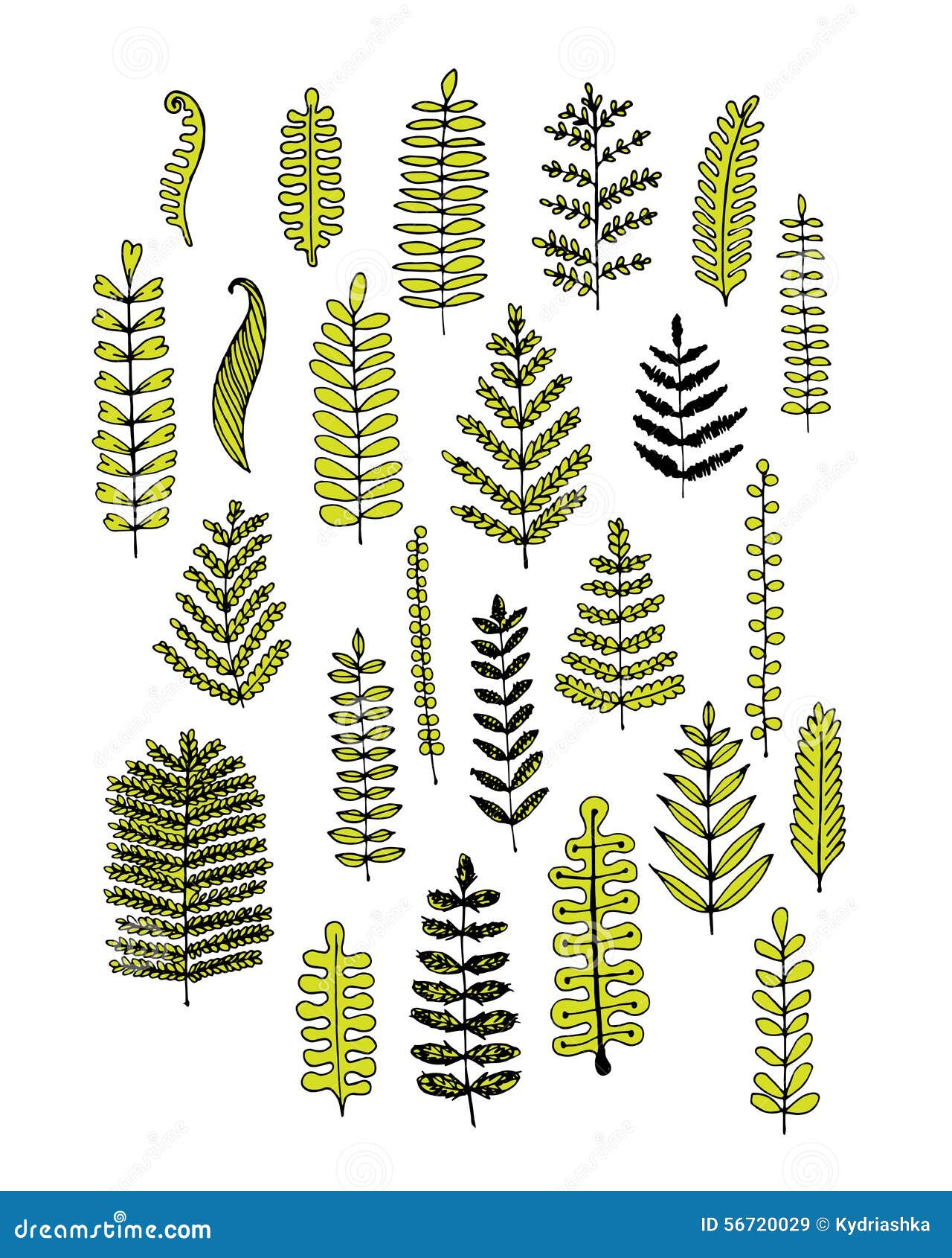 Leaf Set, Sketch for Your Design Stock Vector - Illustration of ...