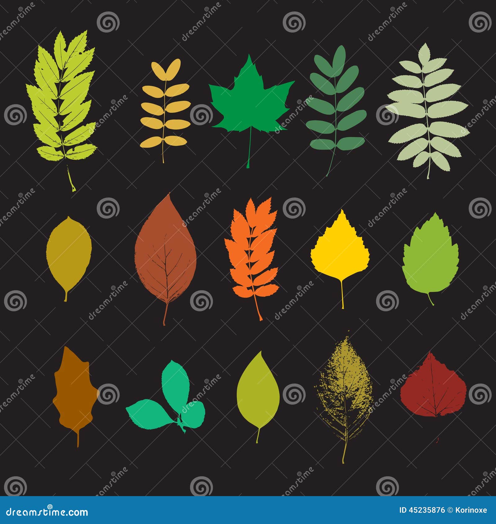 Leaf set stock vector. Illustration of colorful, botany - 45235876