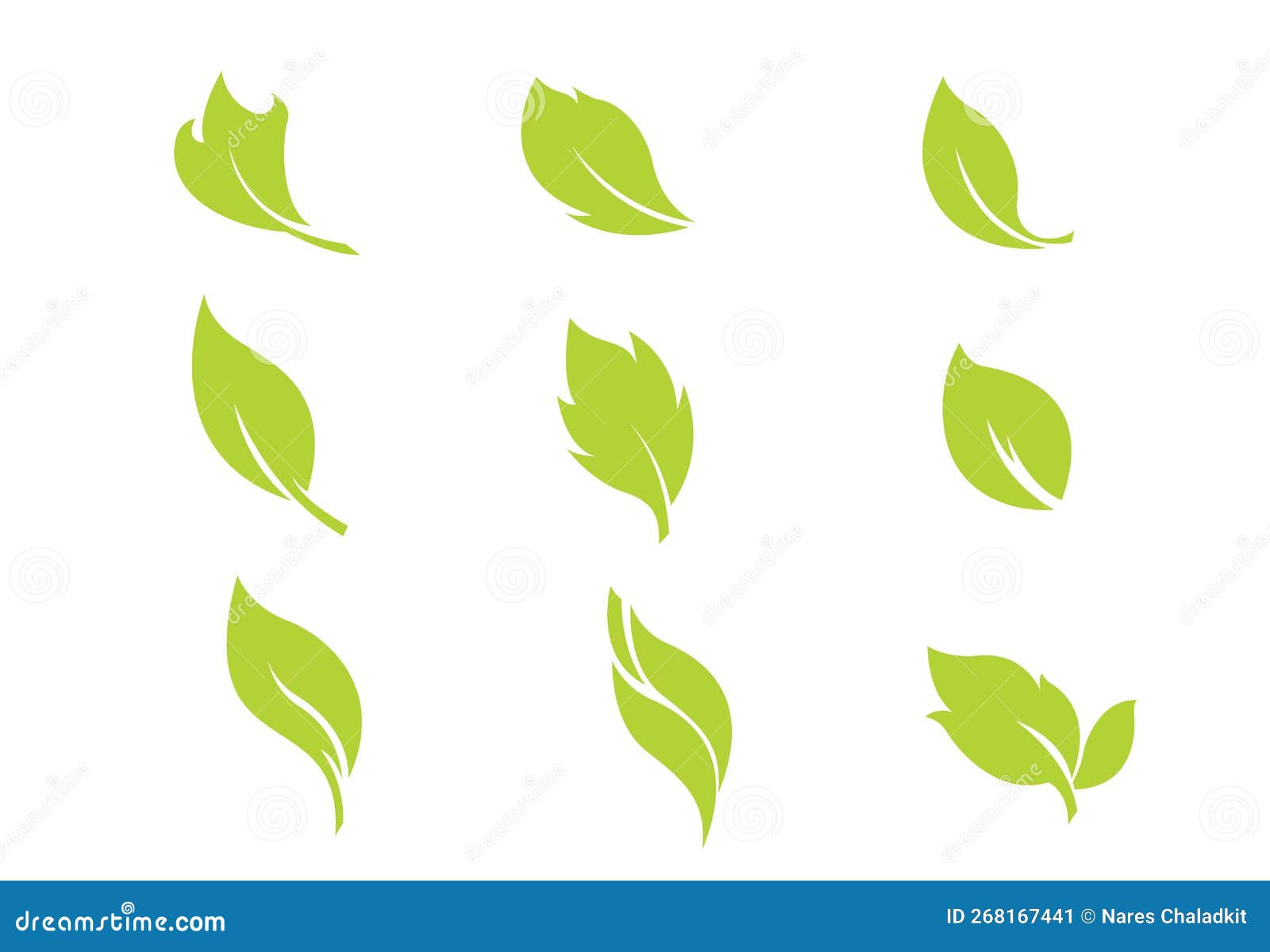 Leaf Set stock illustration. Illustration of vegan, isolated - 268167441