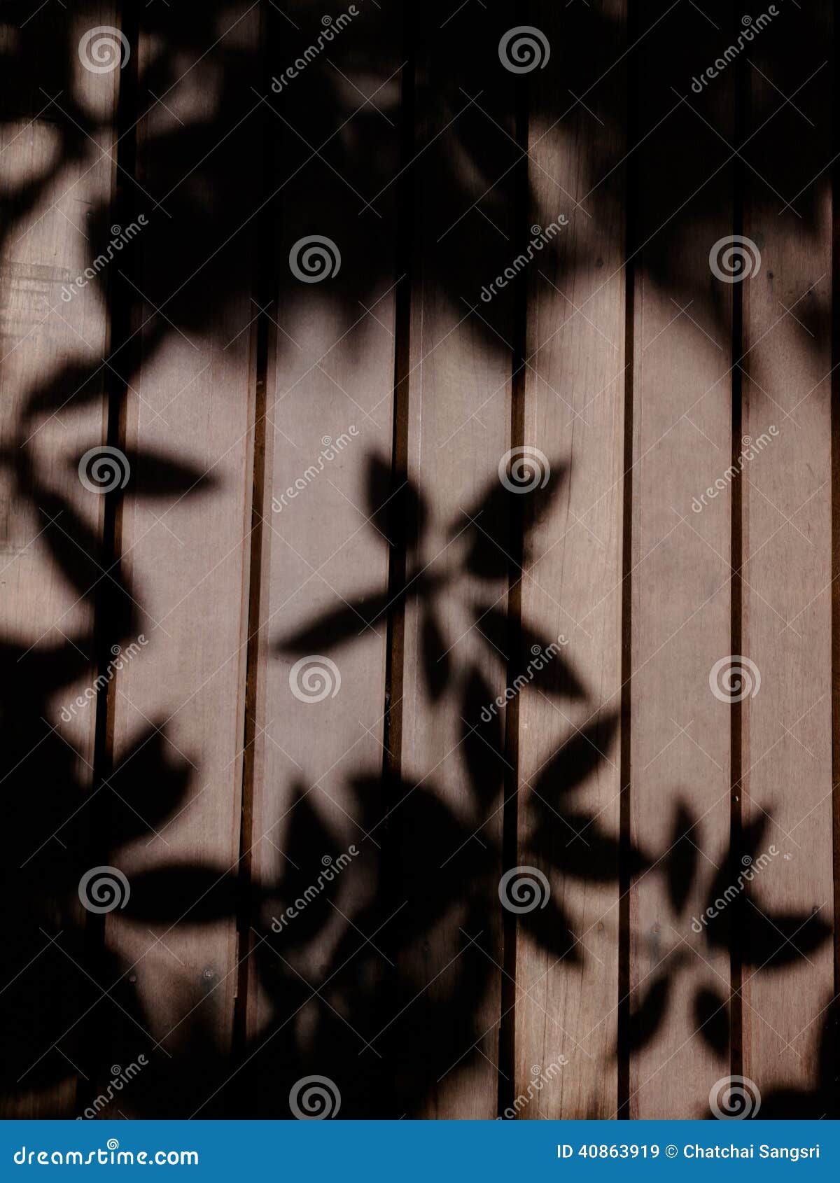 Leaf shadow stock image. Image of plank, weathered, shadow - 40863919