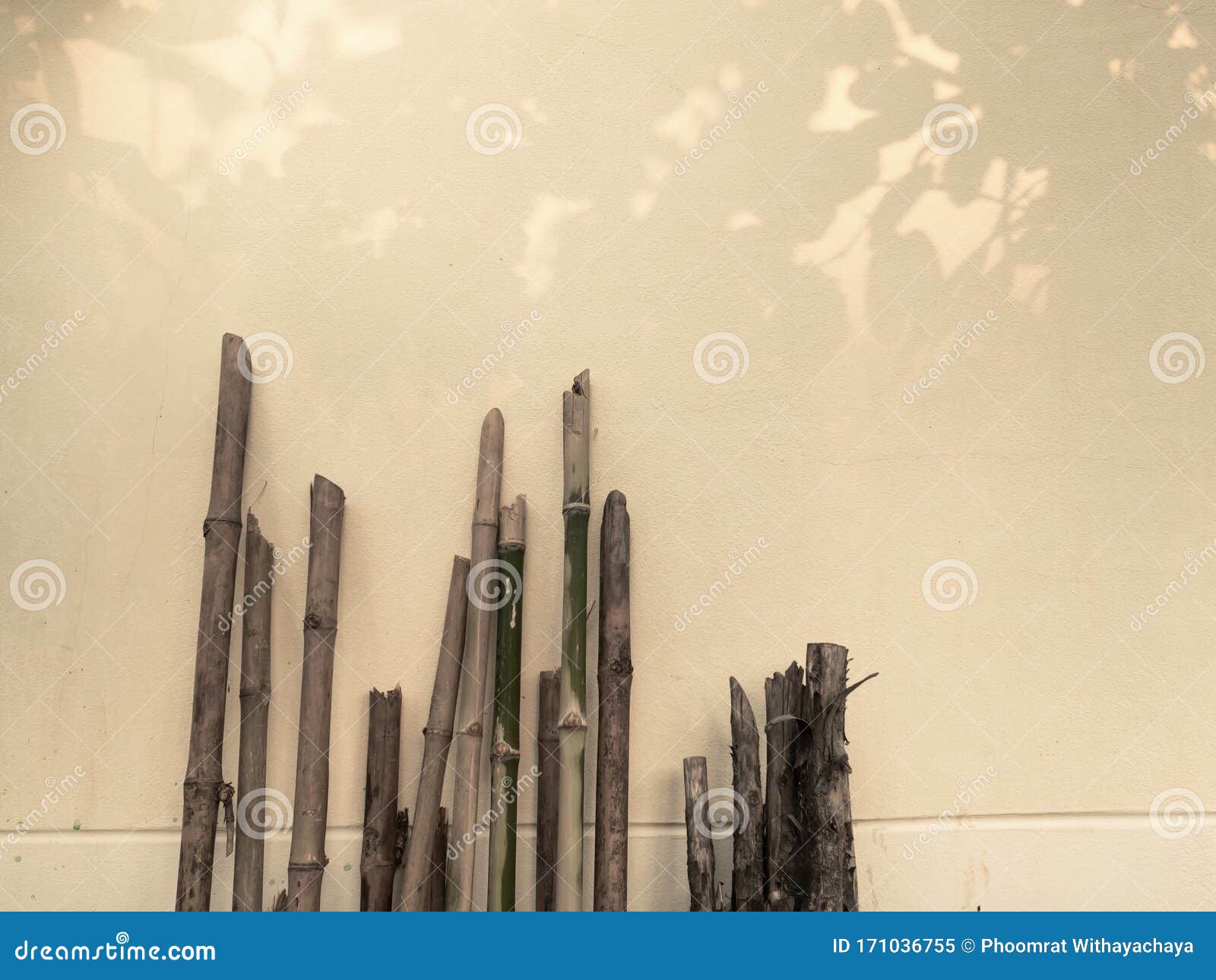 Leaf Shadow on Concrete Cement Plaster Paint, with Bamboo Lean on the ...