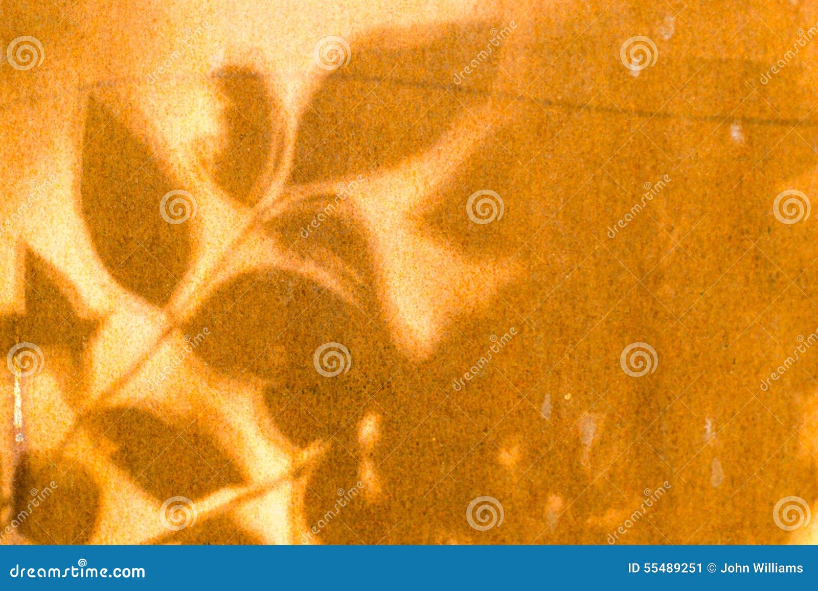 Leaf Shadow on Metal stock image. Image of foliage, dappled - 55489251