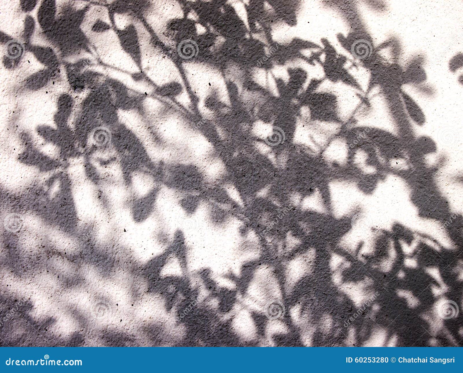 Leaf shadow stock photo. Image of plant, abstract, sunshine - 60253280