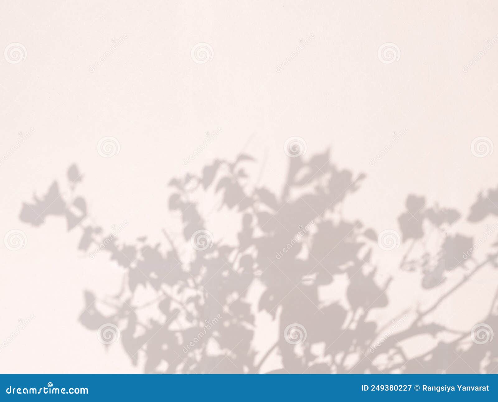 Leaf Shadow on Wall Background Stock Image - Image of concrete, tree ...