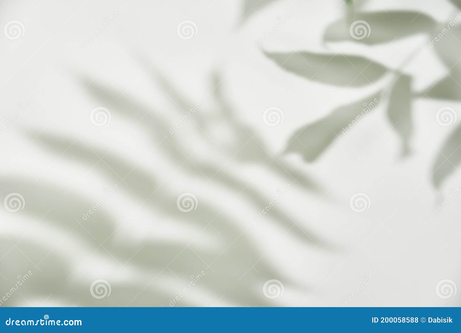 Leaf Shadow on White Background. Creative Abstract Background Stock ...