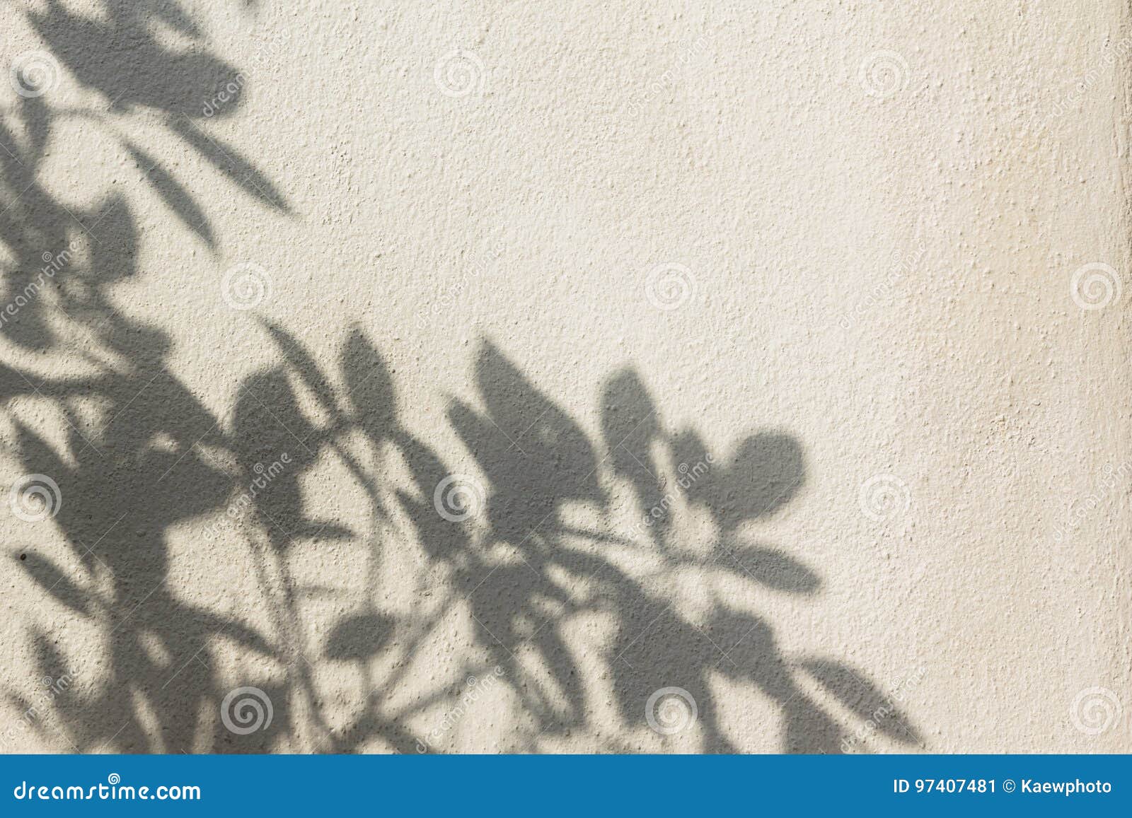 Leaf shadows on the wall stock image. Image of proximity - 97407481