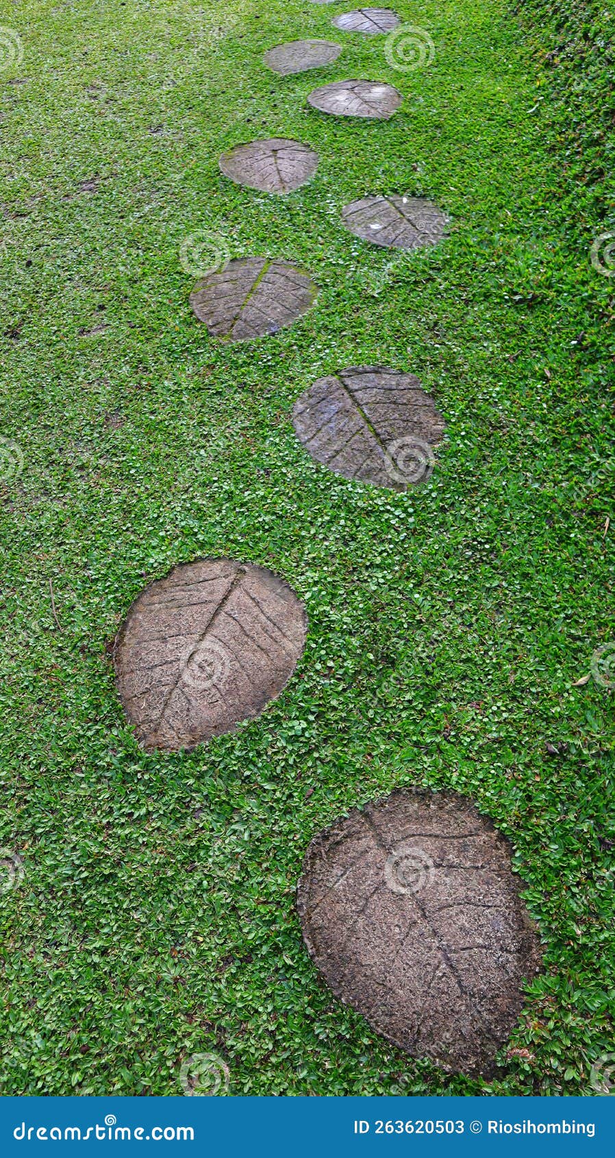 Leaf Shape Stepping Stone Pathway Laying on the Grass at Garden or Park ...