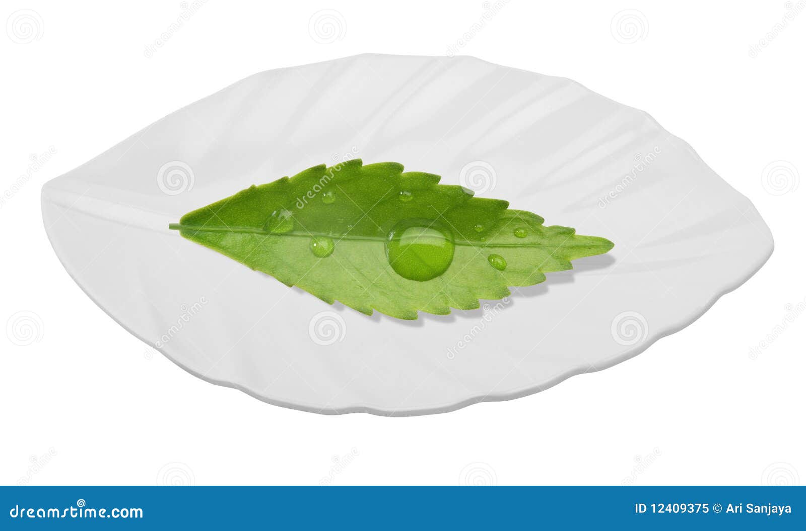 Leaf shaped plate stock image. Image of empty, drop, isolated - 12409375