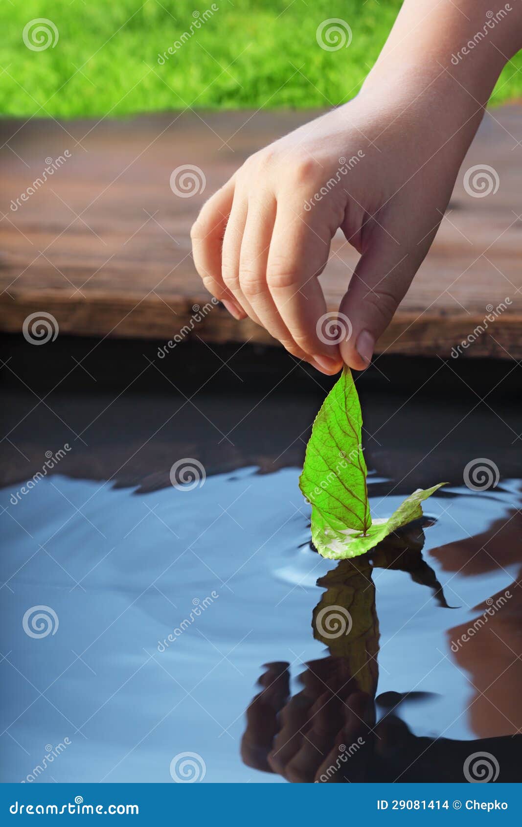 Leaf-ship stock photo. Image of beauty, green, leisure - 29081414