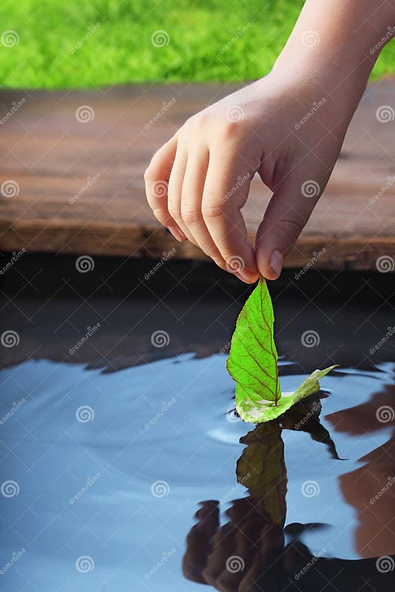 Leaf-ship stock photo. Image of beauty, green, leisure - 29081414