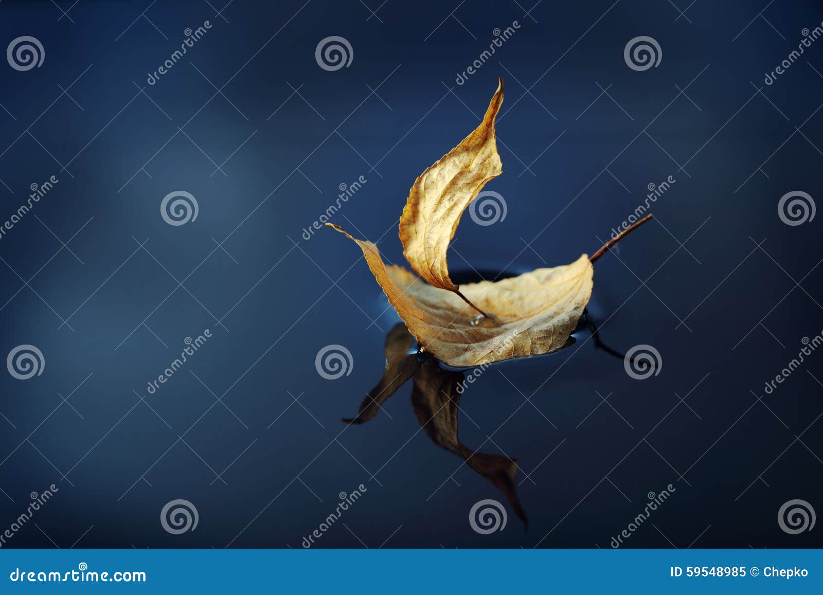 Leaf ship blue water stock image. Image of object, ecology - 59548985