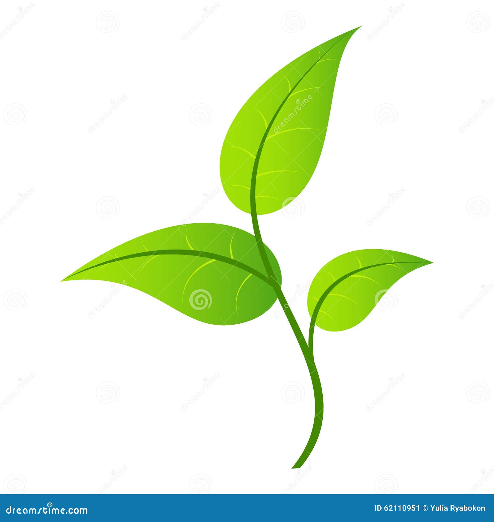 Leaf single icon stock vector. Illustration of branch - 62110951