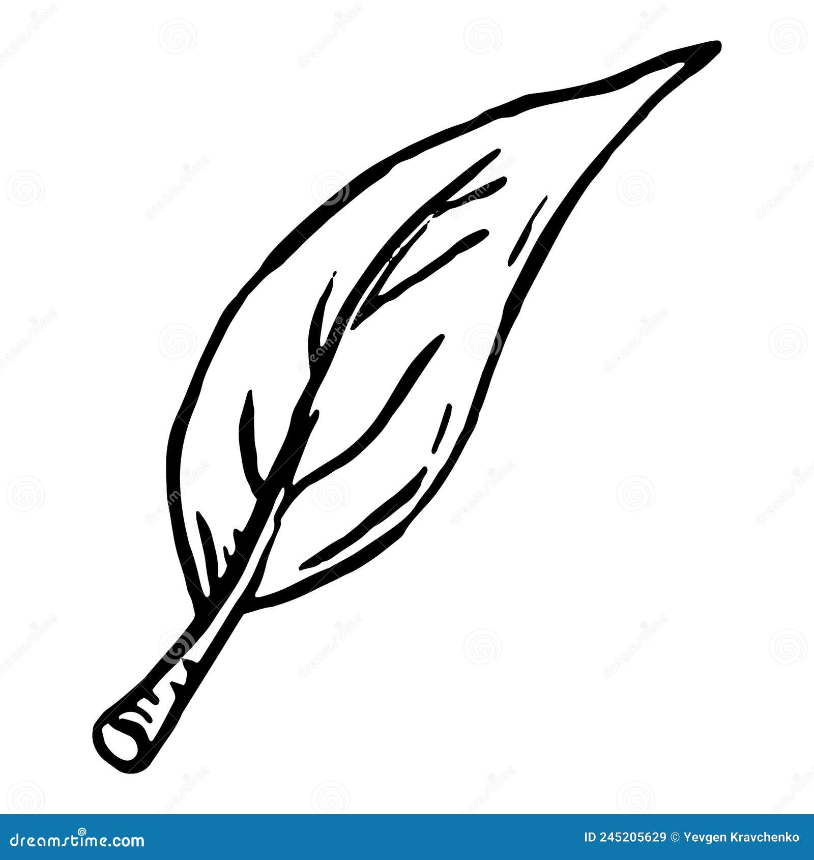 Leaf Sketch Drawing. Vector Illustration of Spring Leaf Stock Vector ...