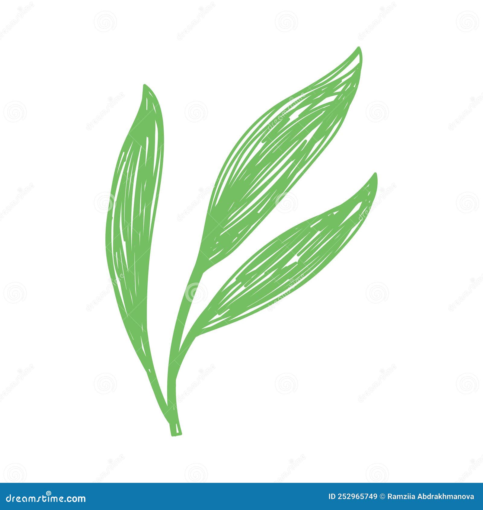 Leaf Sketch. Hand Drawn Vector Illustration Stock Vector - Illustration ...