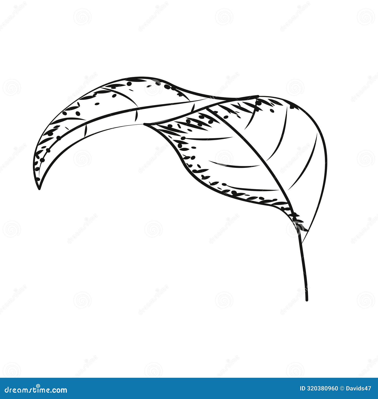 Leaf sketch icon Vector stock vector. Illustration of draw - 320380960