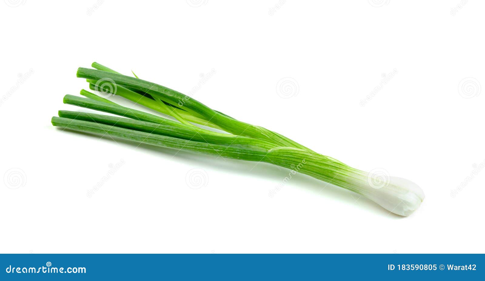 Leaf Spring Onion Isolated on White Background ,Green Leaves Pattern ...