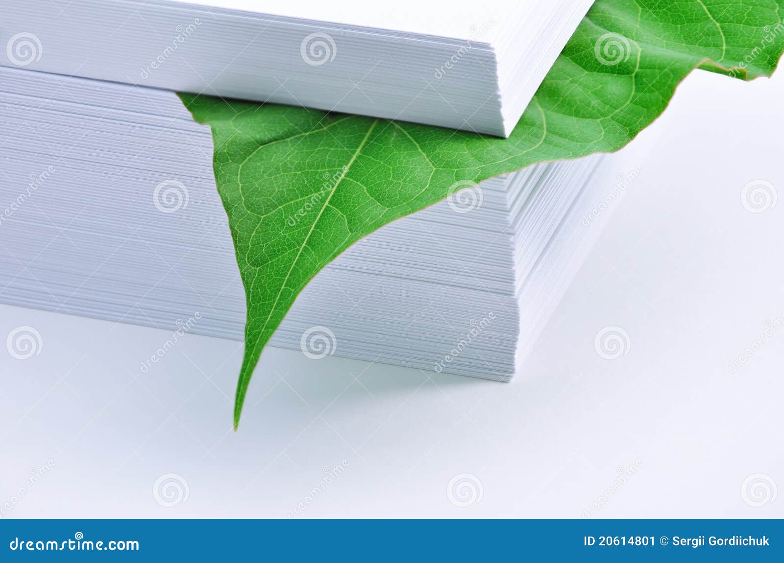 Leaf in stack of paper stock image. Image of leaf, pollution - 20614801