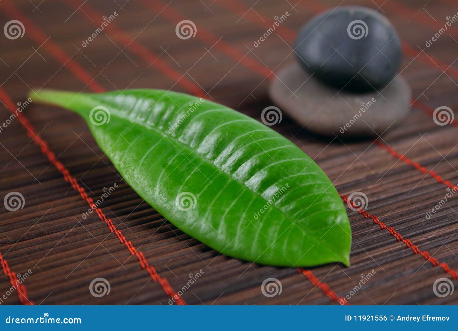 Leaf and stone stock photo. Image of drop, bamboo, relaxation - 11921556