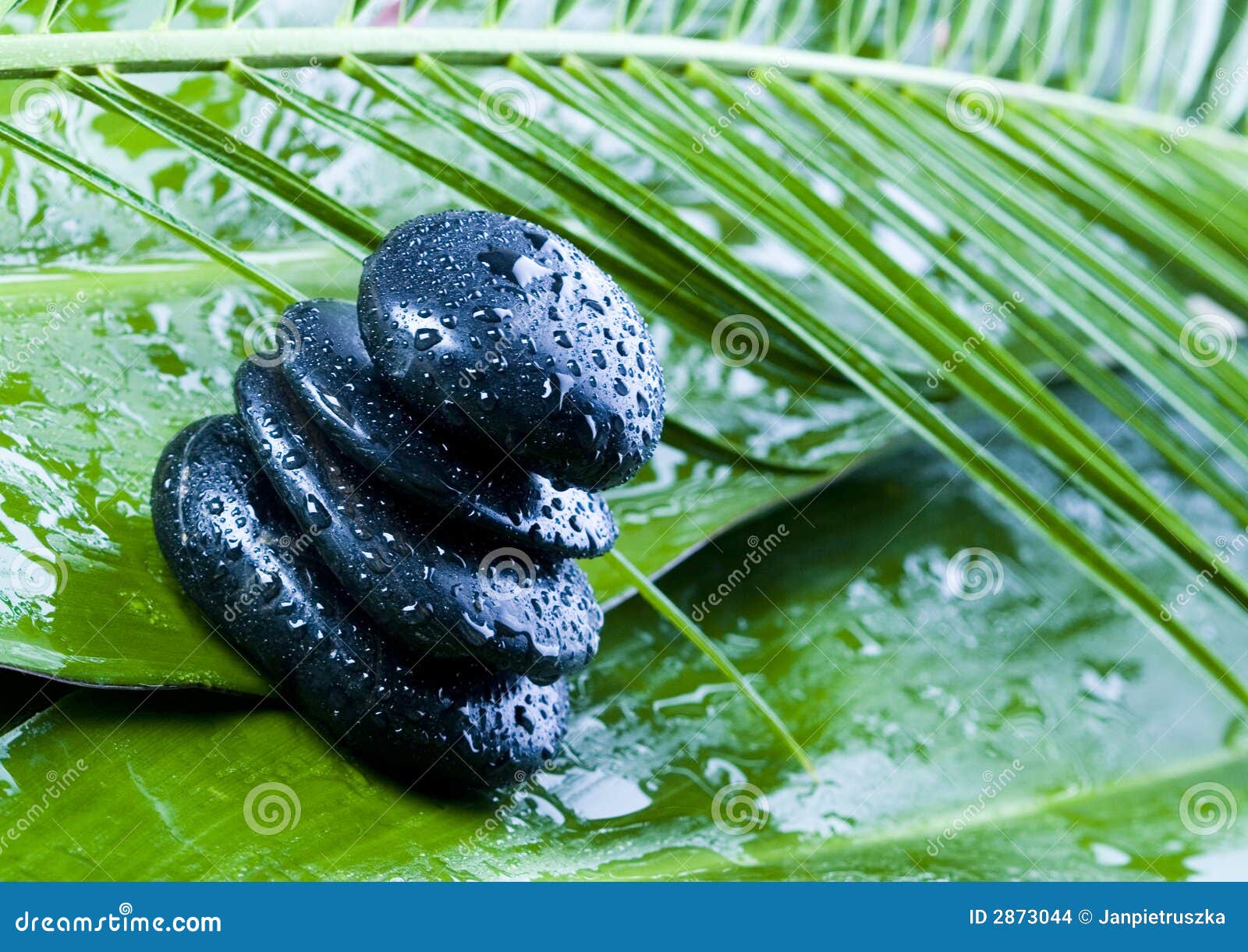 Leaf & Stones stock photo. Image of medicinal, natural - 2873044