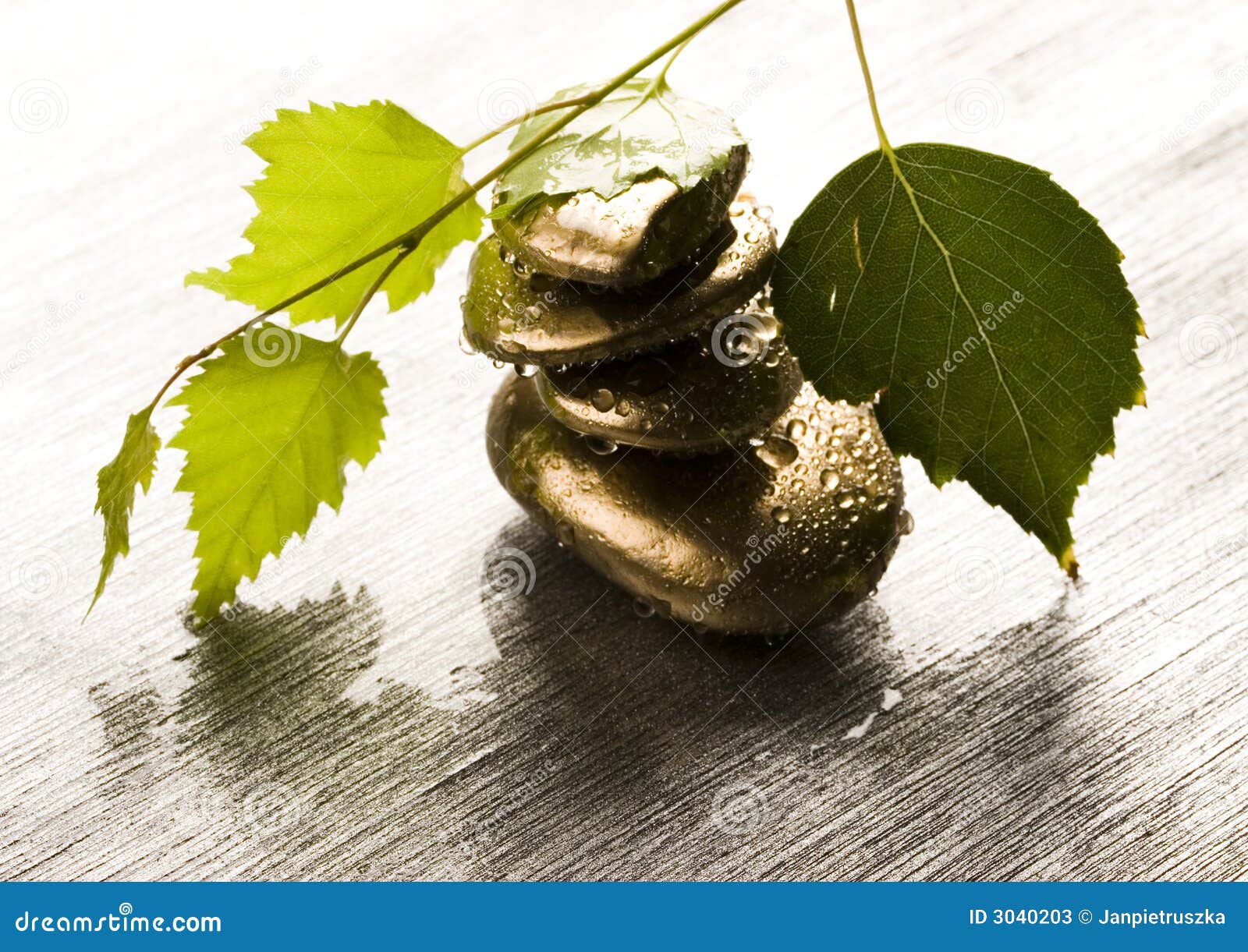 Leaf & Stones stock image. Image of green, leaves - 3040203