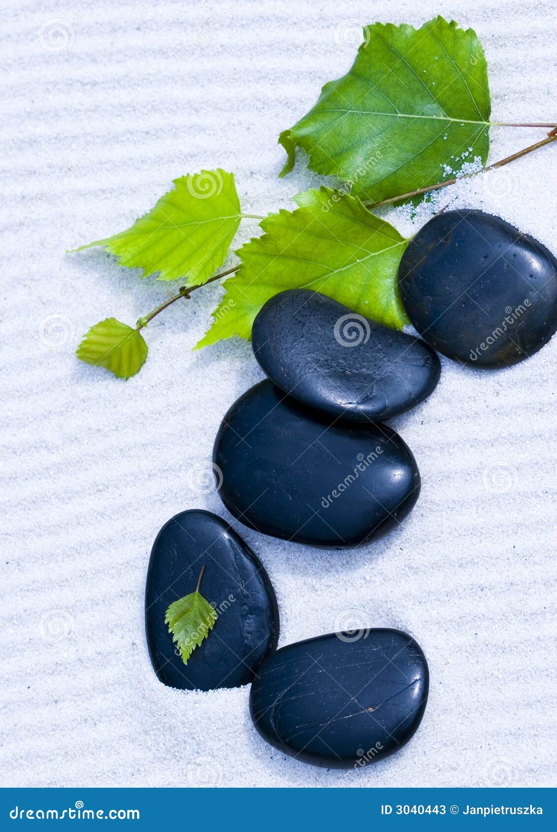 Leaf & Stones stock image. Image of beautiful, recreation - 3040443