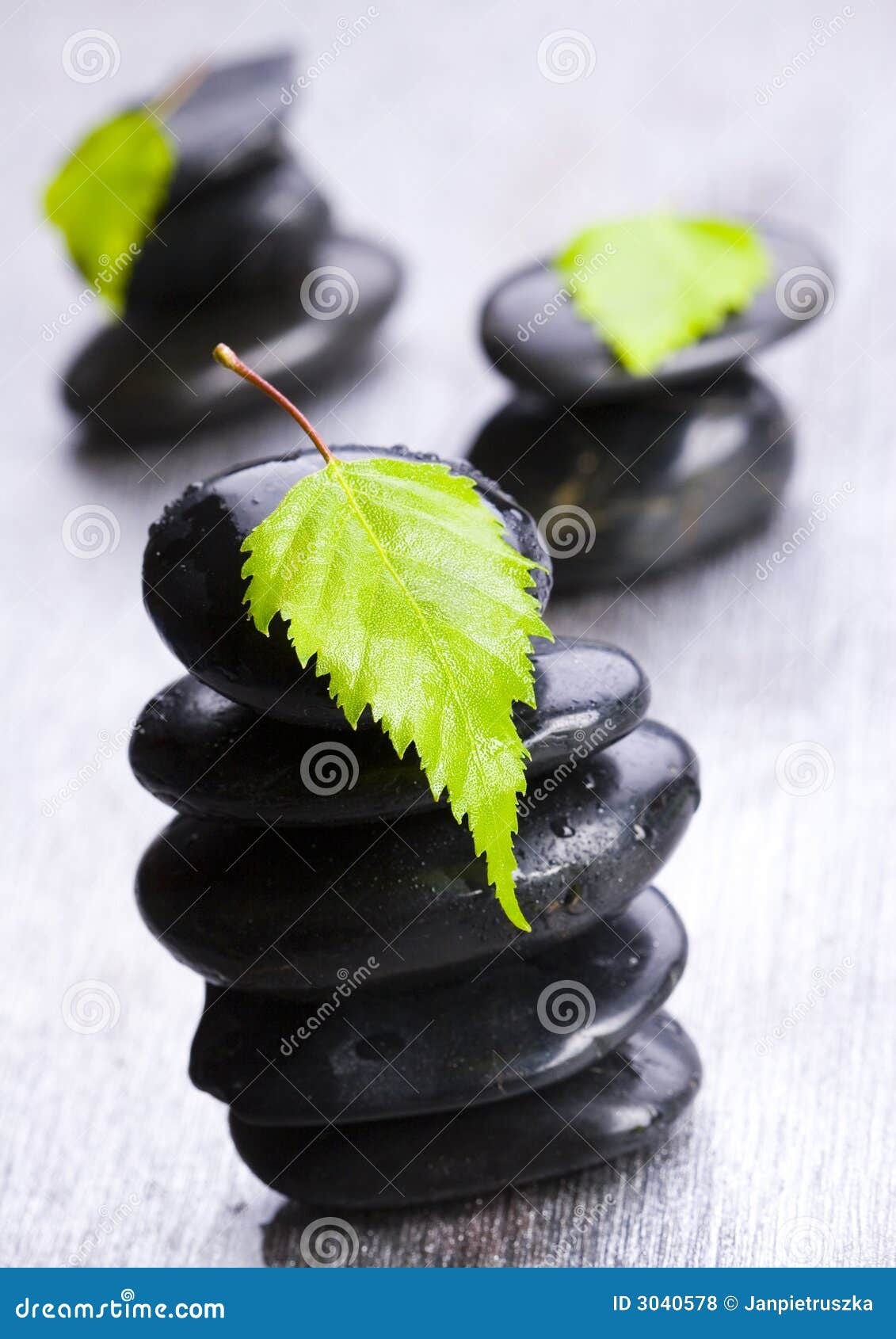 Leaf & Stones stock photo. Image of drop, health, healthy - 3040578