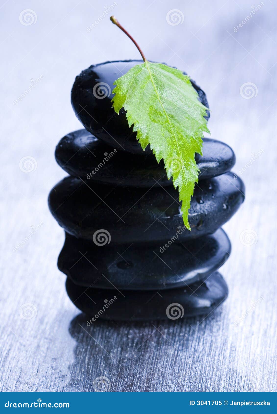 Leaf & Stones stock image. Image of health, caress - 3041705