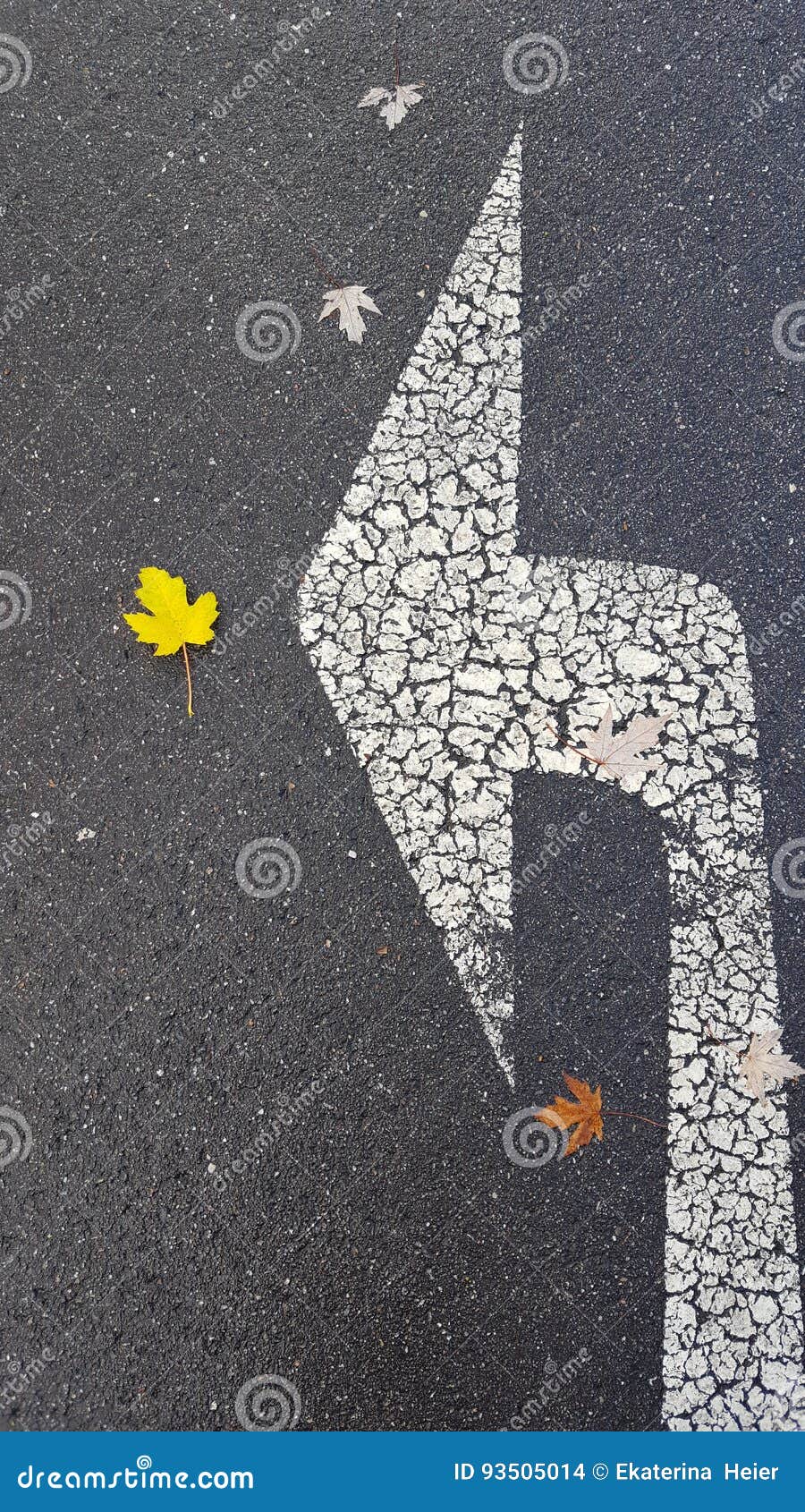 Leaf stock photo. Image of leaf, nice, nature, fall, think - 93505014