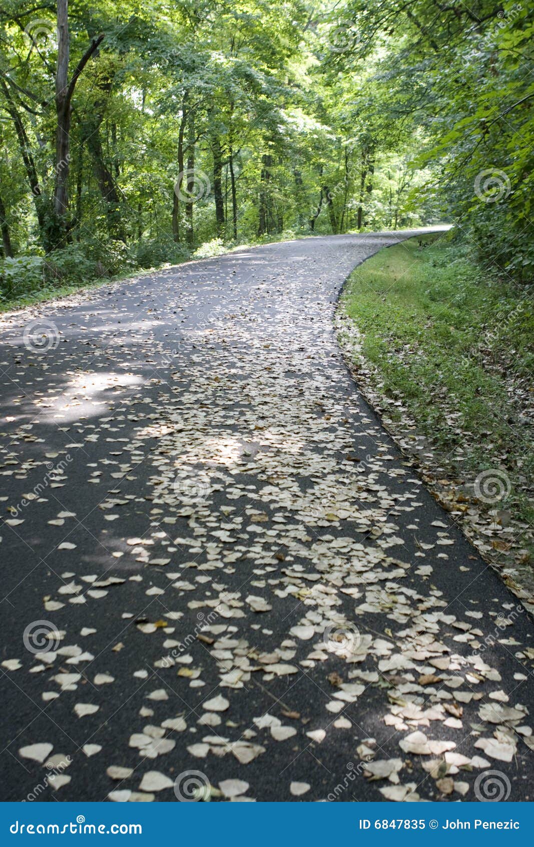 Leaf strewn road stock image. Image of relax, street, rural - 6847835