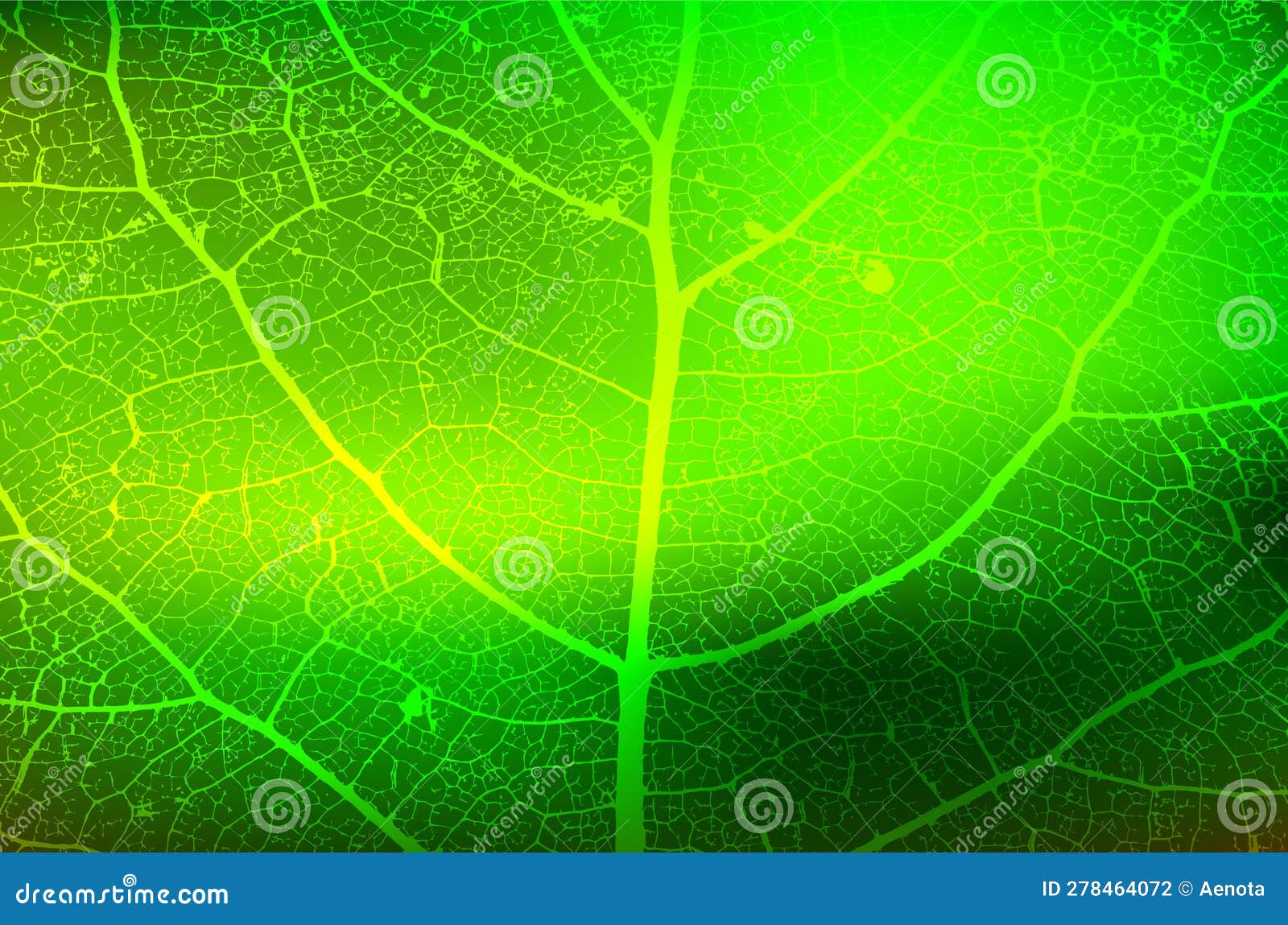 Leaf Structure Skeleton with Veins Vector Grunge Background Stock ...