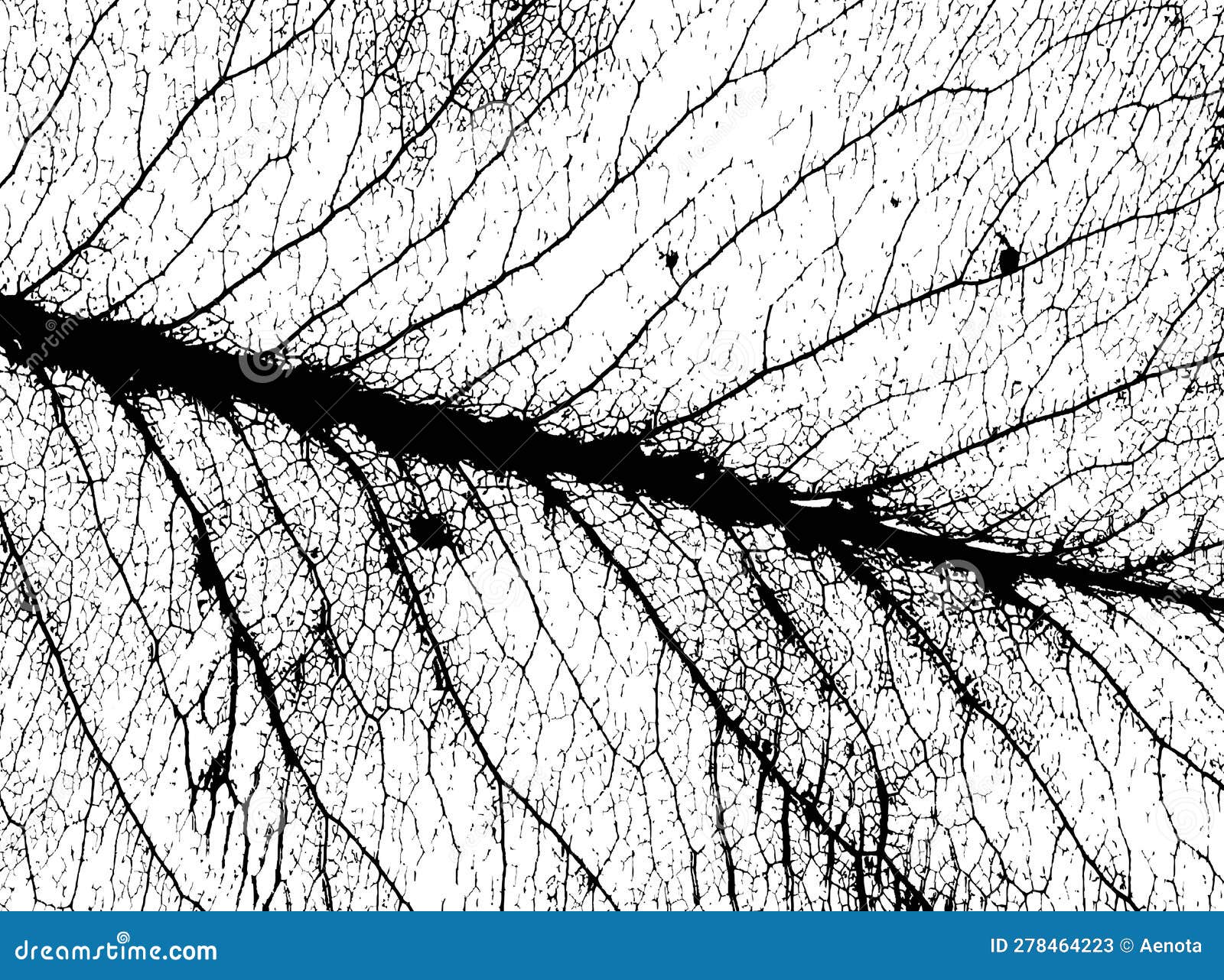 Leaf Structure Skeleton with Veins Vector Grunge Background Stock ...