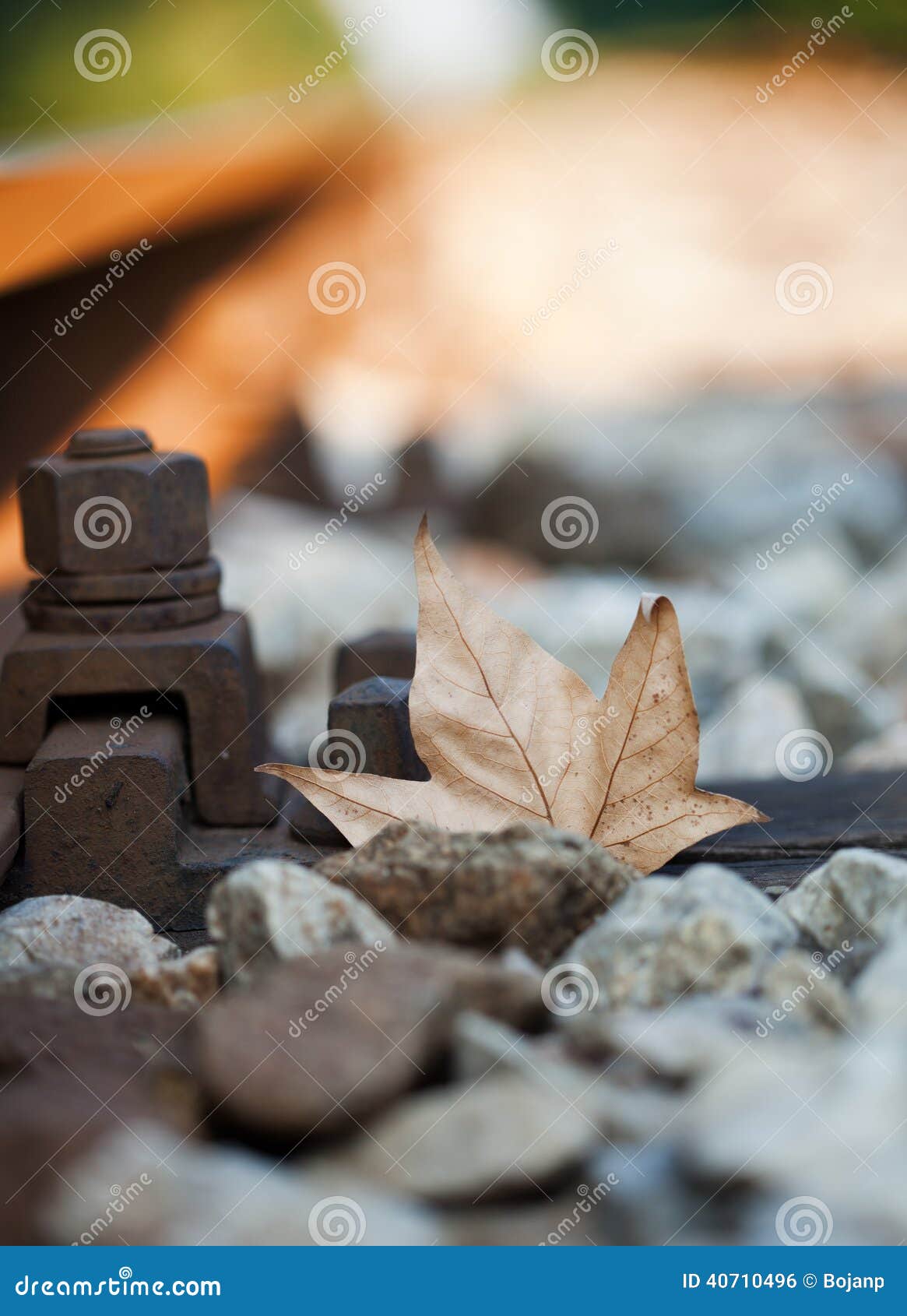 Leaf Stuck at Railroad Track Stock Photo - Image of railroad, track ...