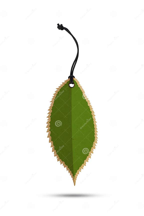 Leaf tag on white stock photo. Image of conservation - 182440422