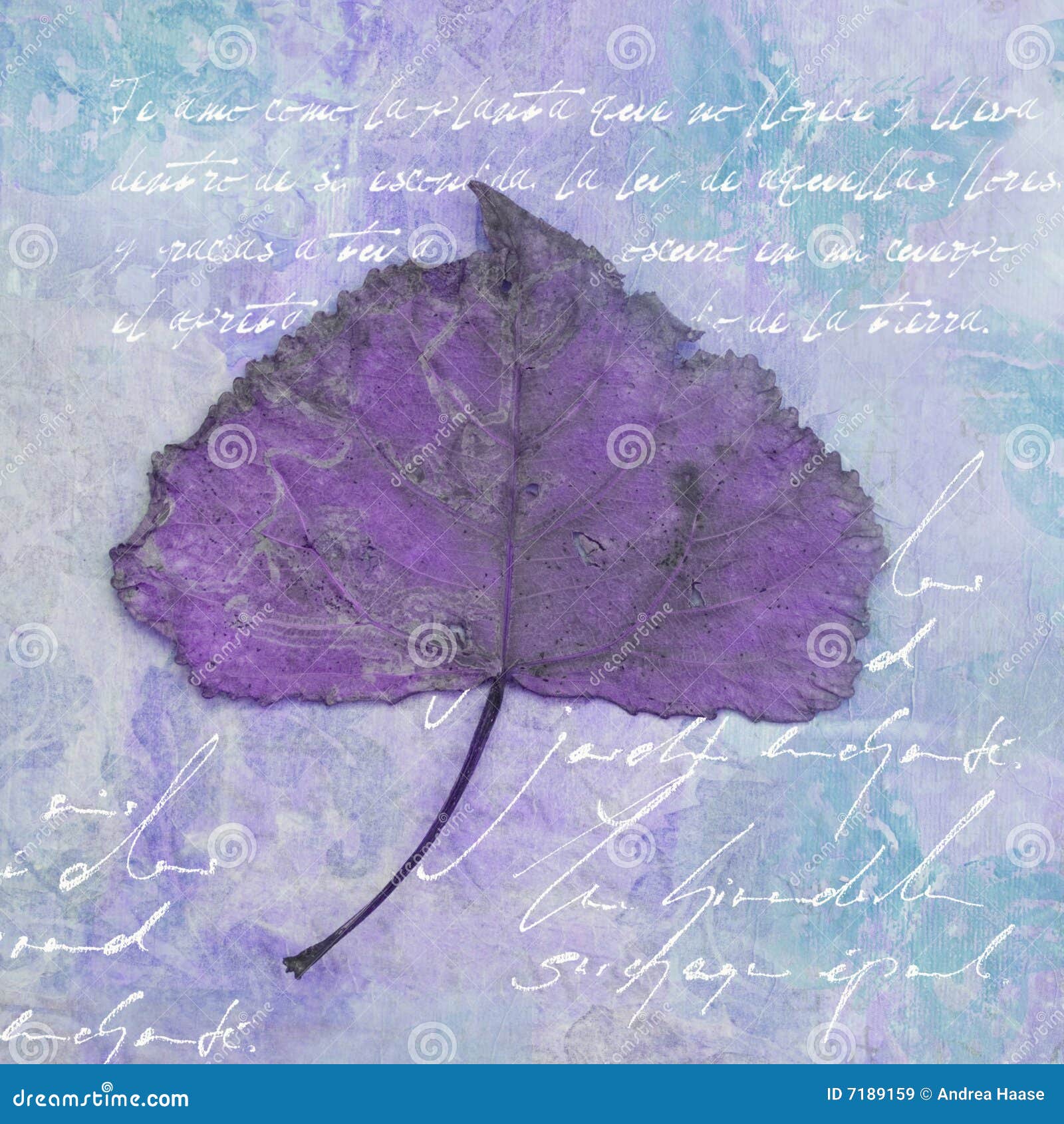 Leaf on text background stock illustration. Illustration of leaf - 7189159