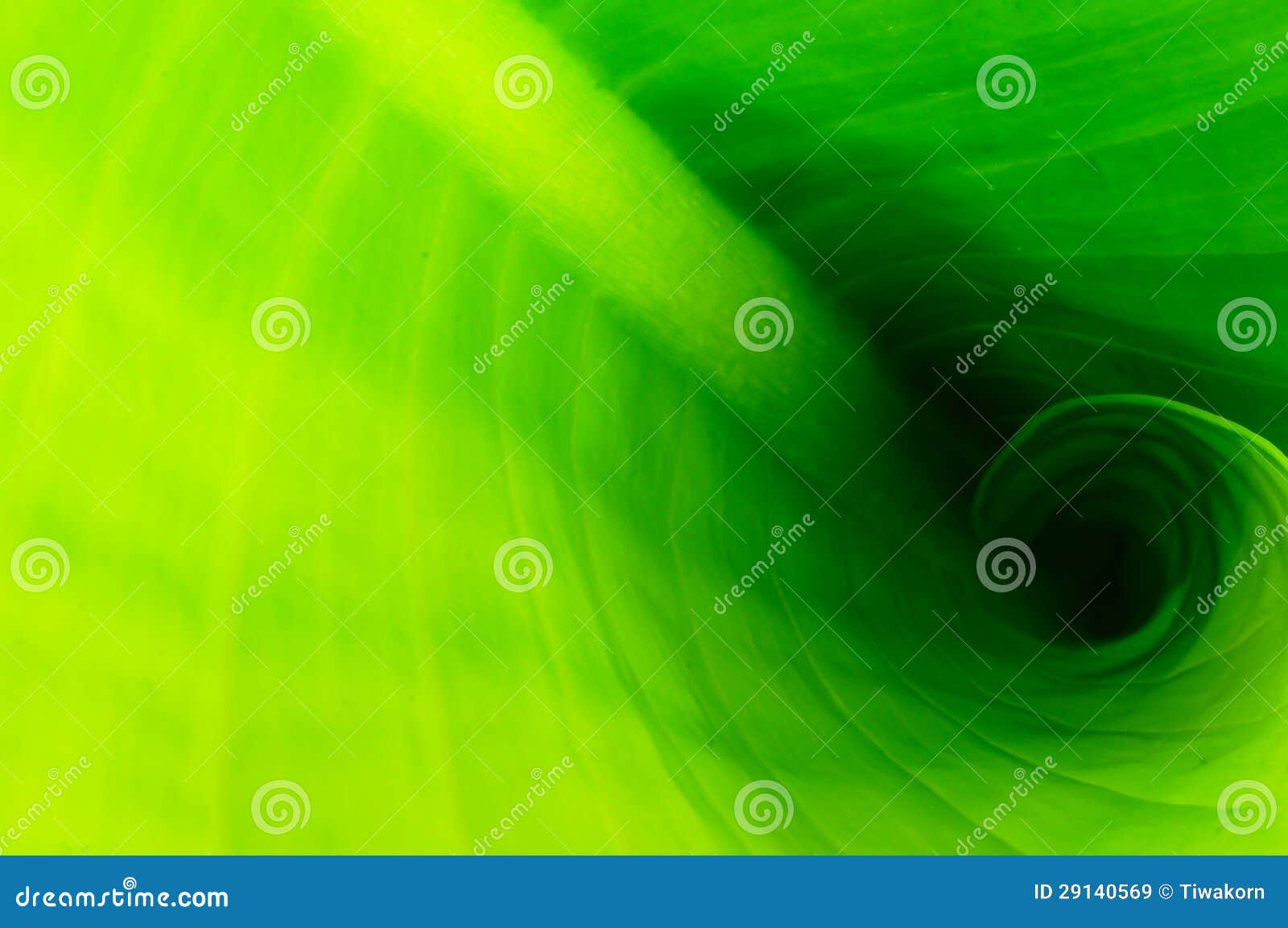 Leaf texture stock image. Image of green, botany, organic - 29140569