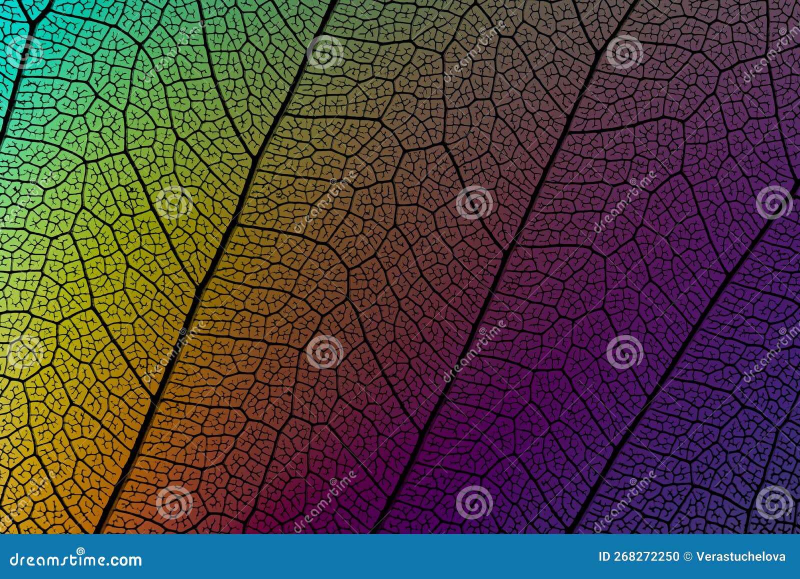 Leaf Texture, Leaf Background with Veins and Cells Stock Photo - Image ...