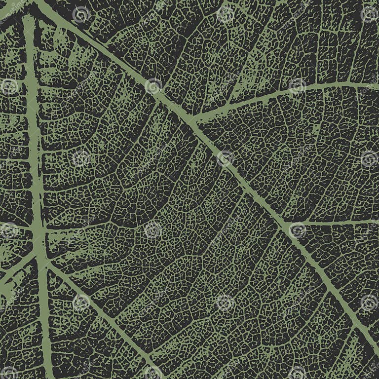 Leaf Texture Close Up. Colored Vector Stock Vector - Illustration of ...