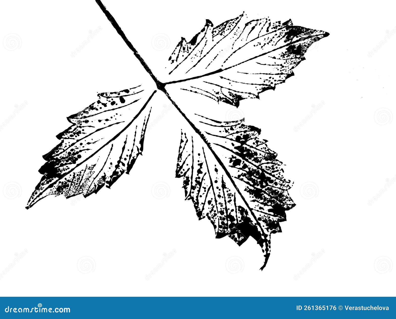 Leaf Texture Imprint on White Paper Stock Illustration - Illustration ...
