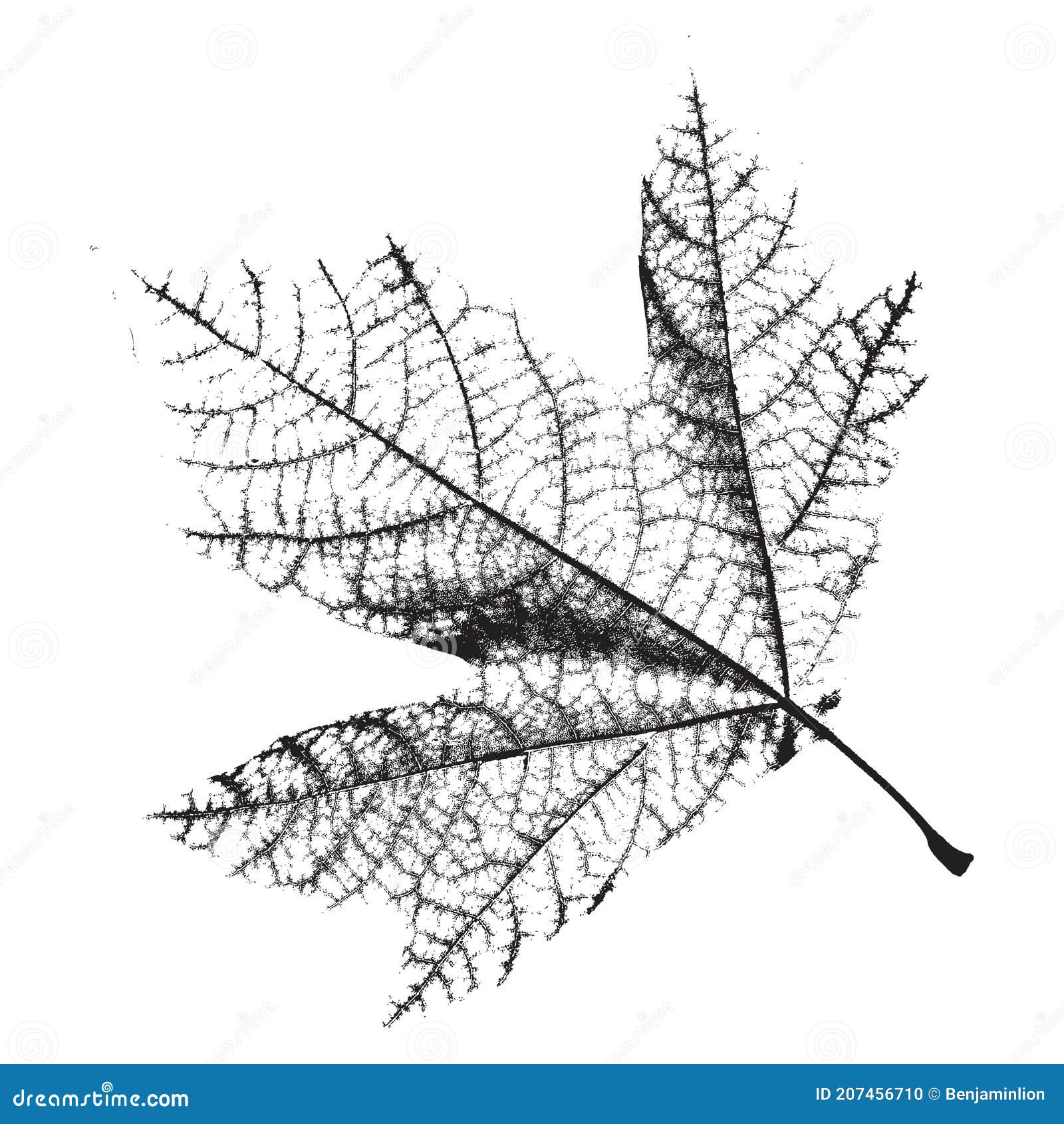 Vector Sycamore Tree Stock Photos - Free & Royalty-Free Stock Photos ...