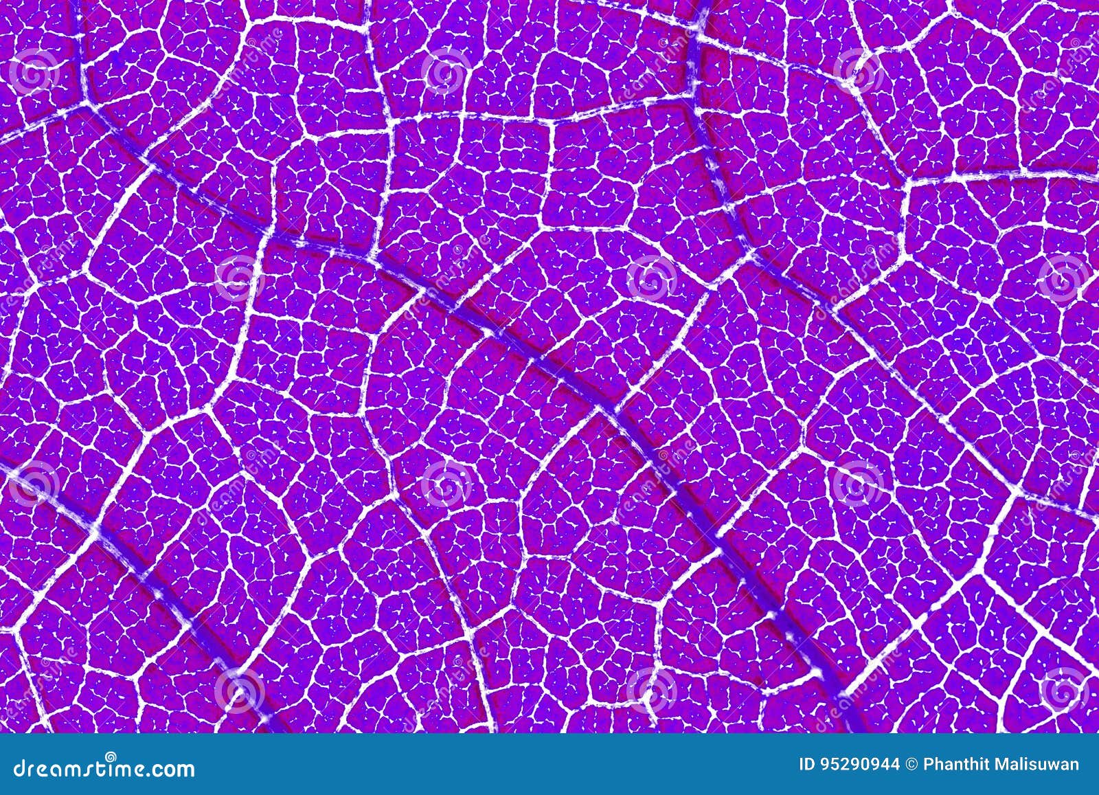 Leaf Texture, Leaf Background. Color Effect Stock Photo - Image of ...