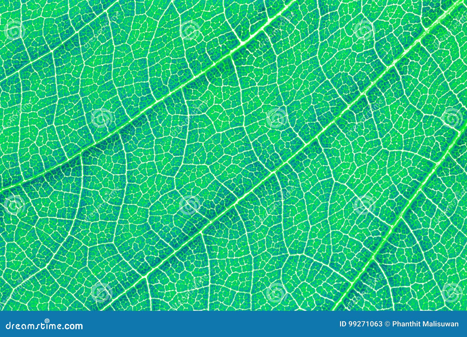 Leaf Texture Pattern Background for Graphic Design. Stock Image - Image ...