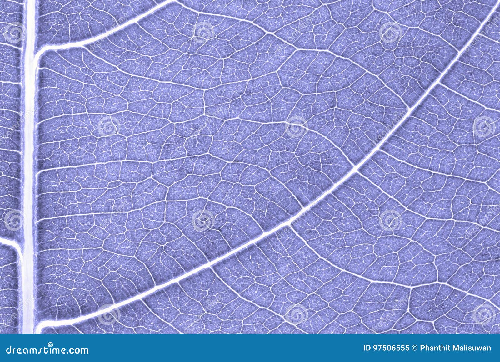 Leaf Texture Pattern Background for Graphic Design. Stock Image - Image ...