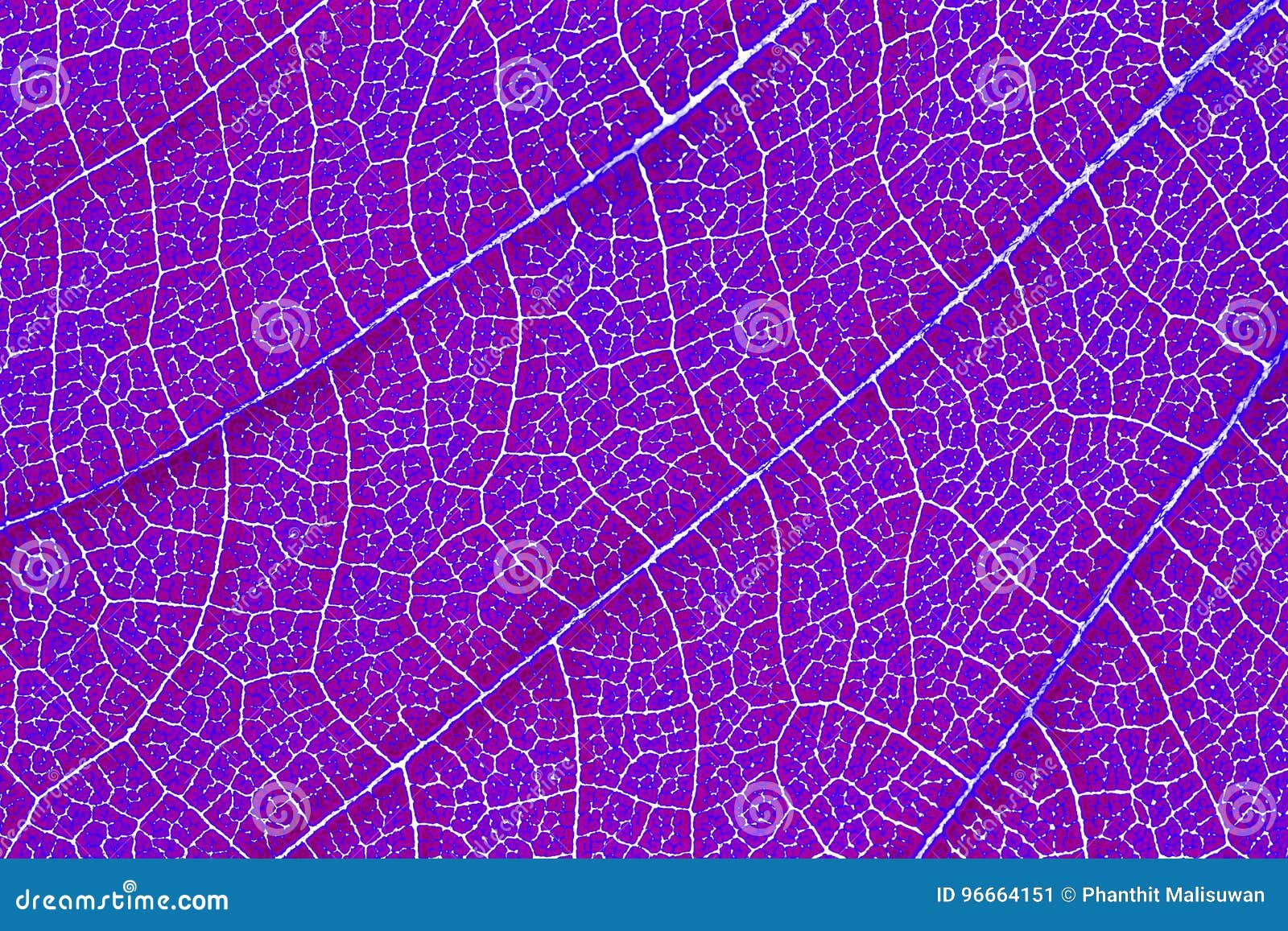 Leaf Texture Pattern Background for Graphic Design. Stock Image - Image ...