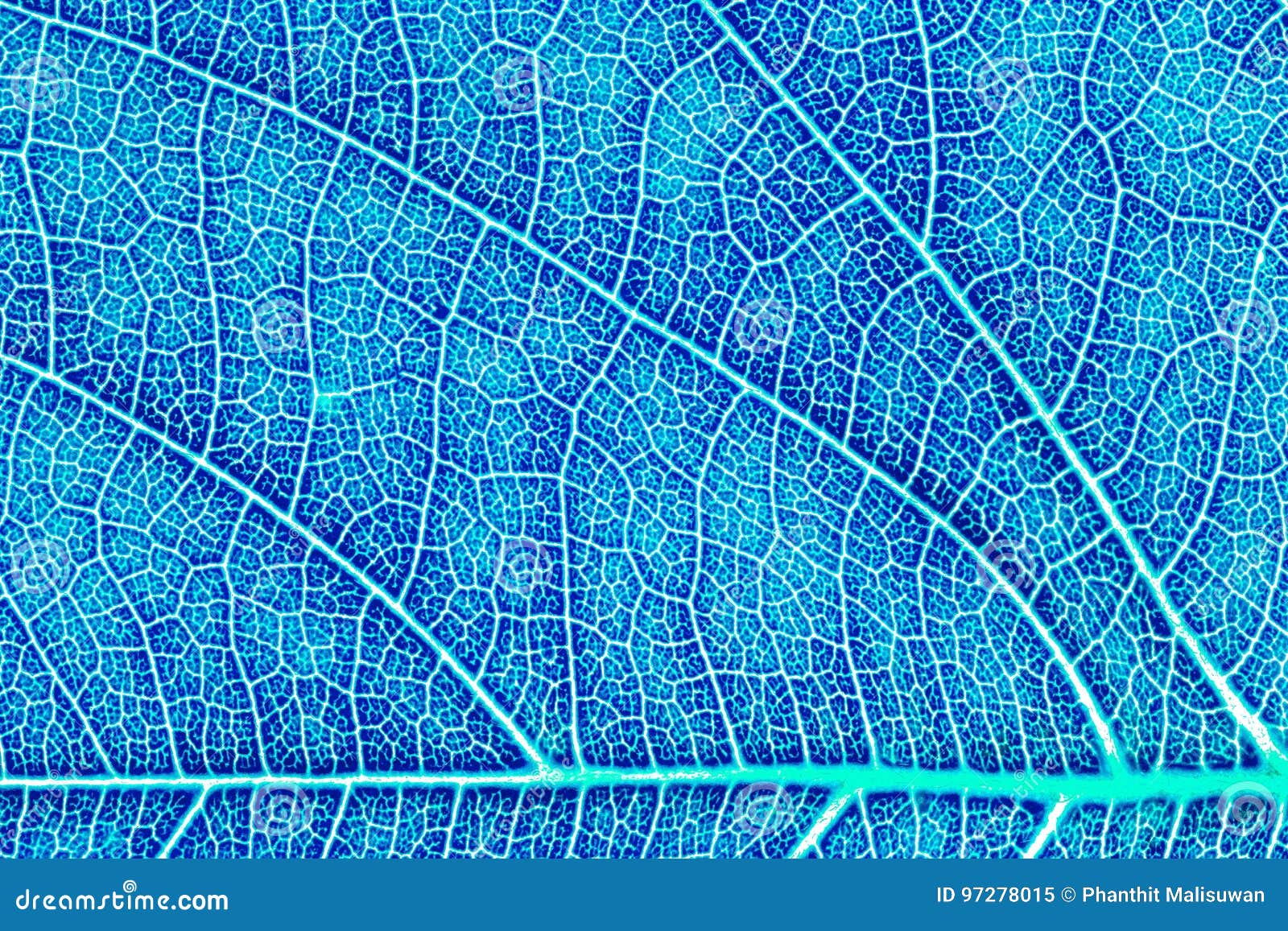 Leaf Texture Pattern Background for Graphic Design. Stock Image - Image ...