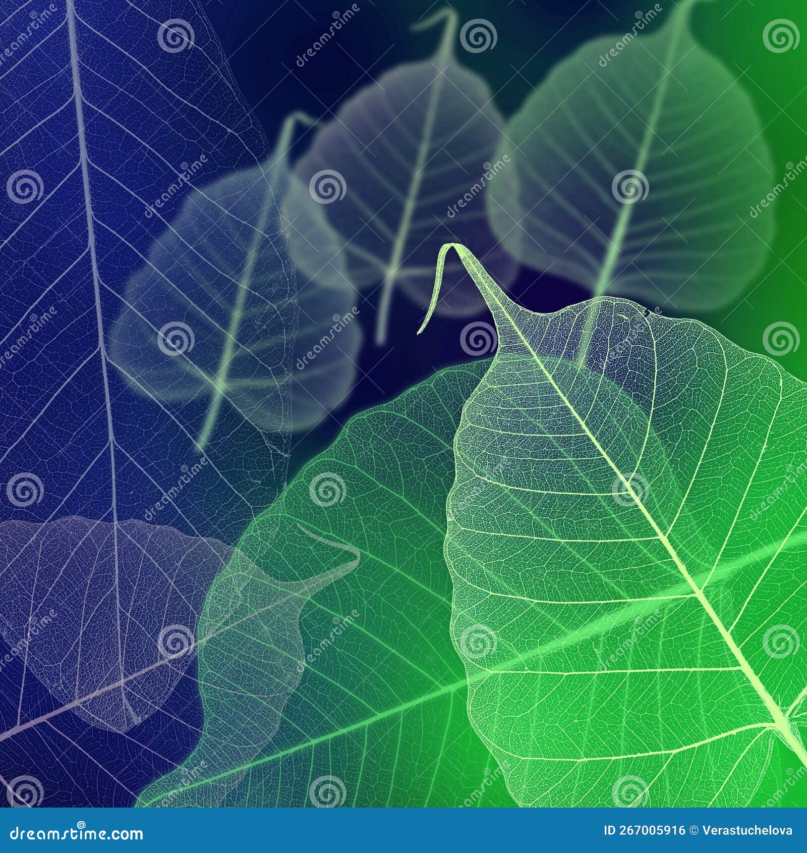 Leaf Texture Pattern, Leaf Background with Veins and Cells Stock Photo ...