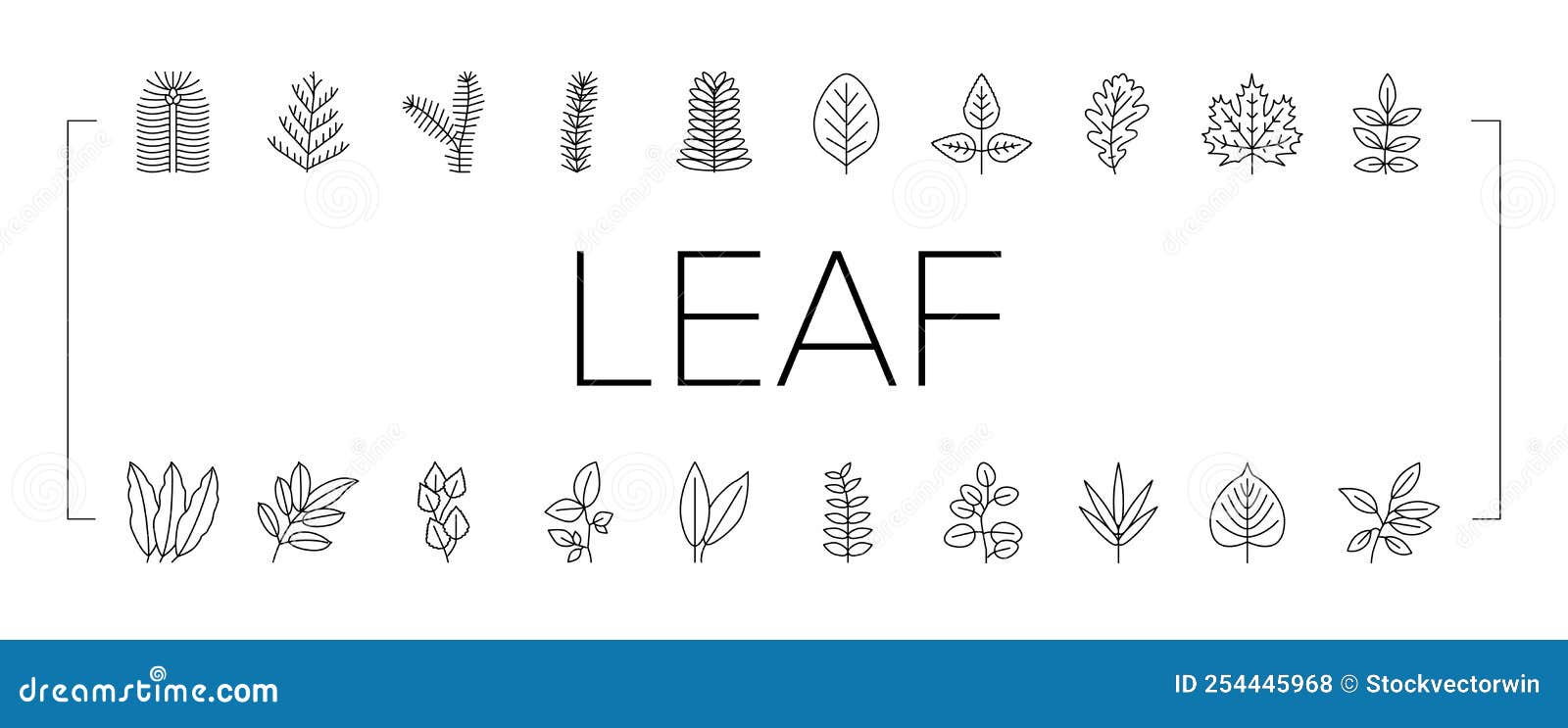 Leaf of Tree, Bush or Flower Icons Set Vector Stock Vector ...