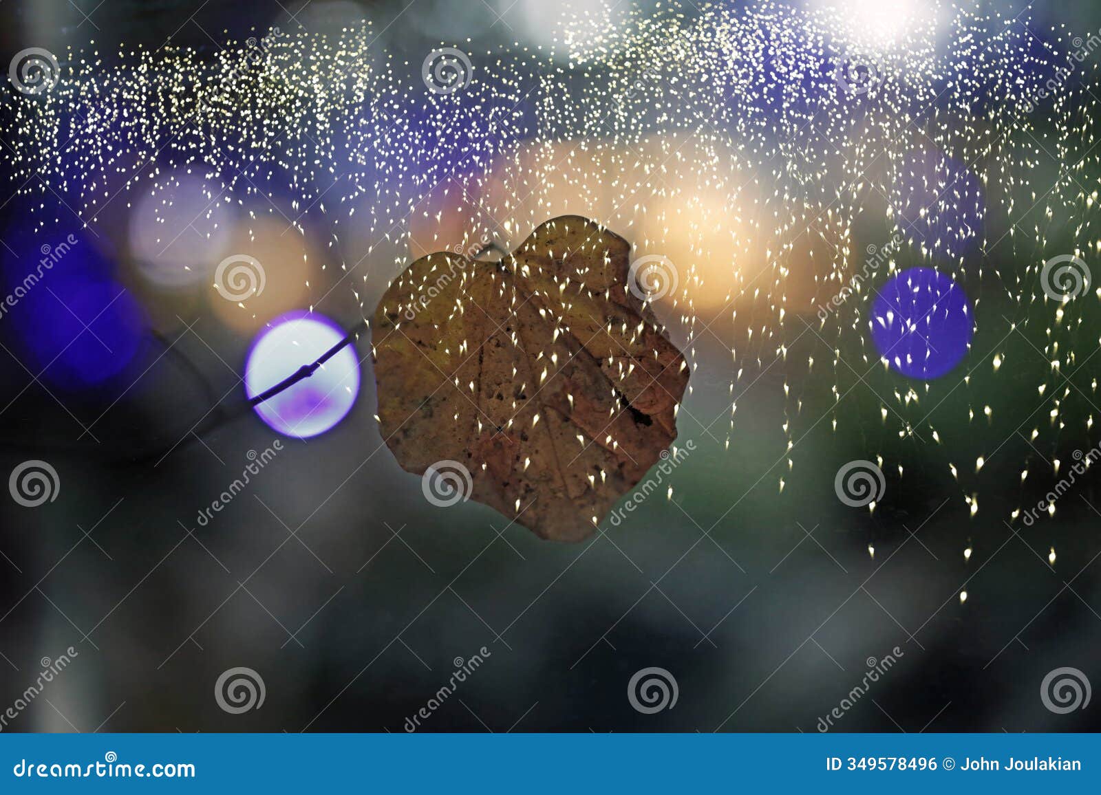 Leaf on a Tree with Dazziling Lights Nights. an Immersive Holiday Light ...