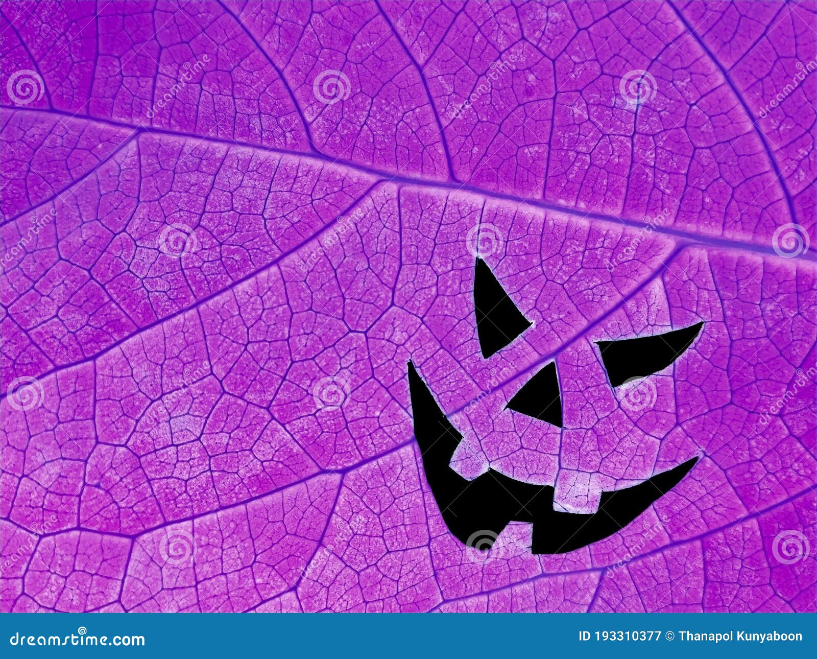 Leaf with a Halloween Face on Texture Background Stock Image - Image of ...